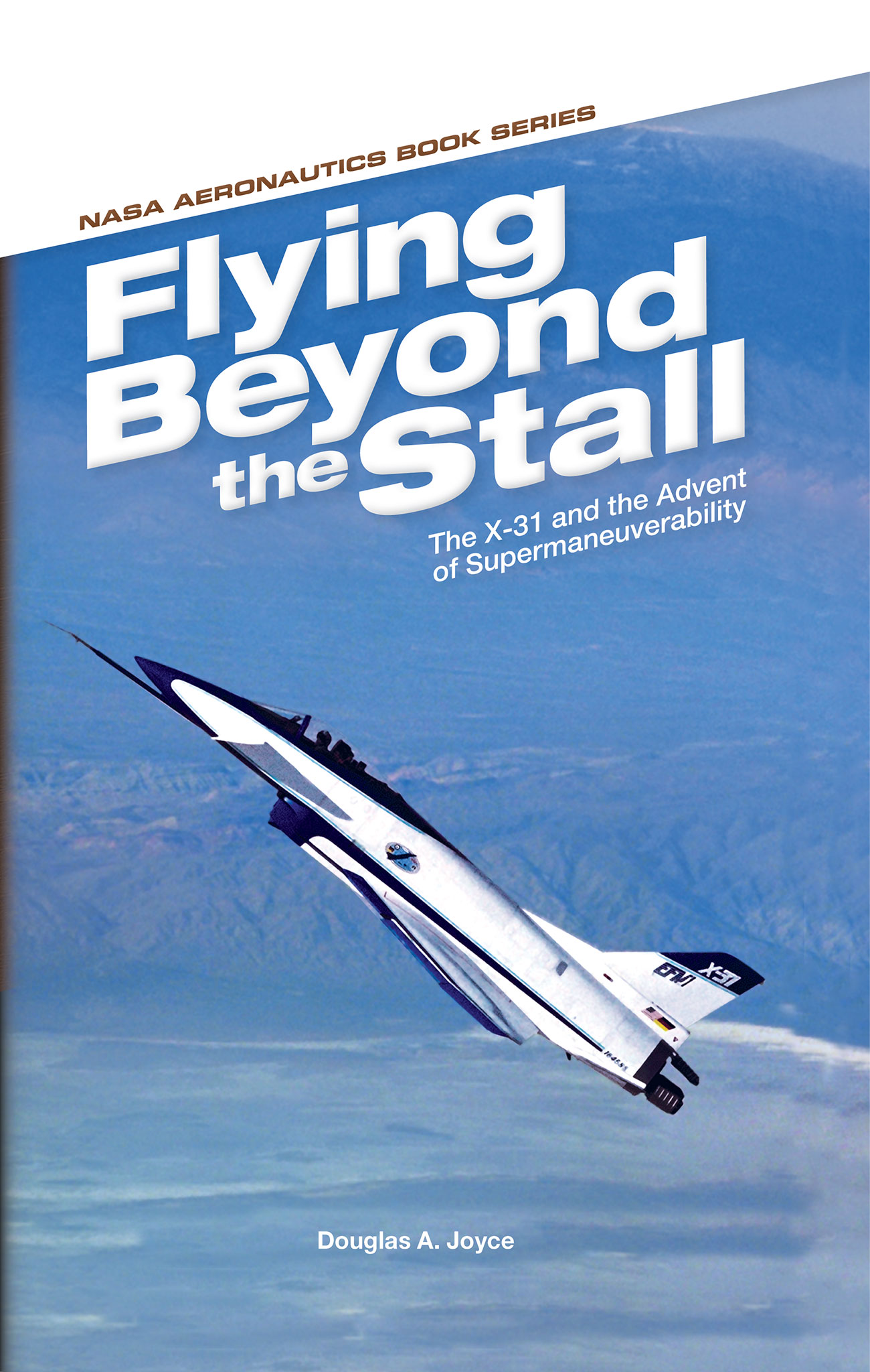 Flying Beyond the Stall