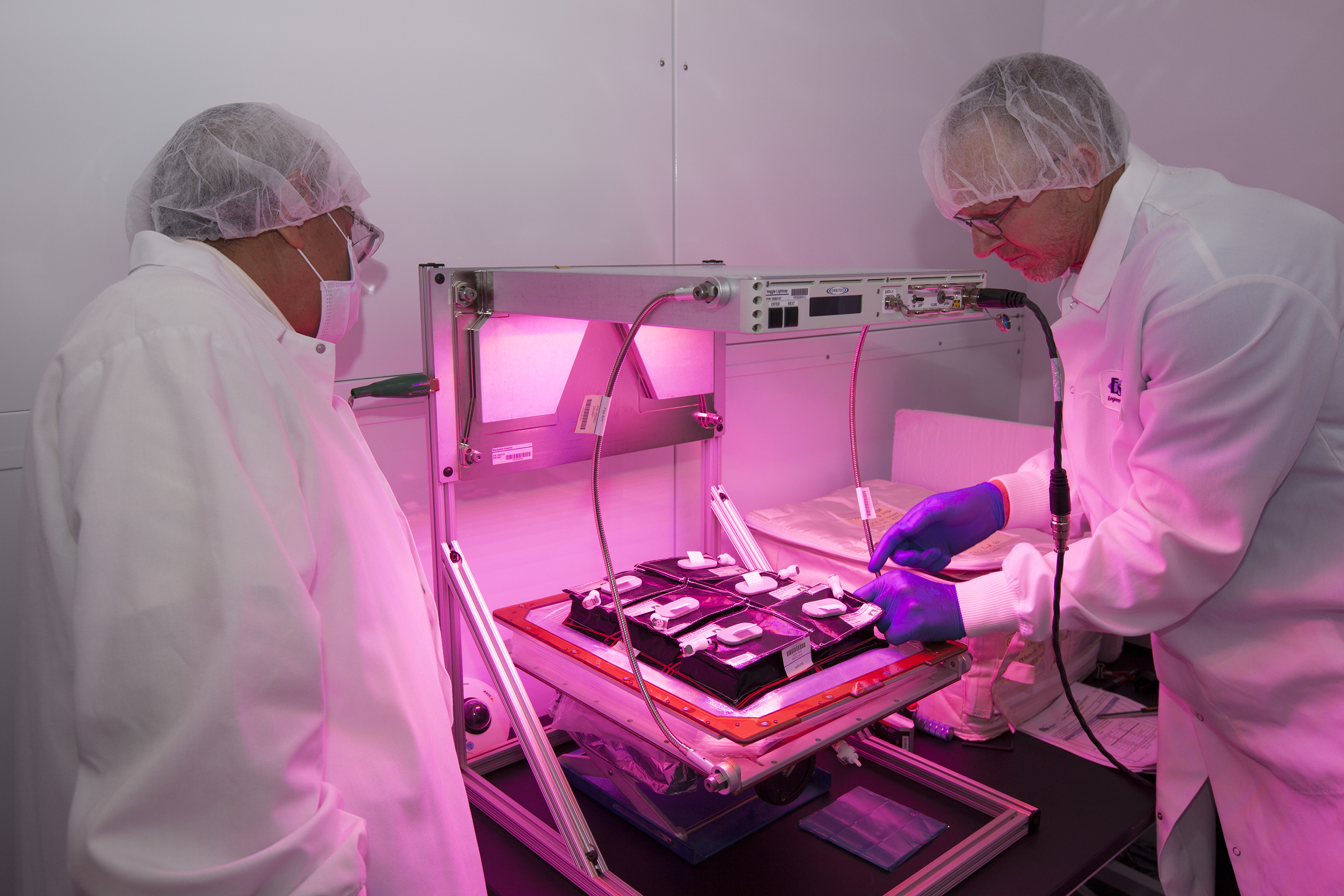 Veggie Plant Growth System Activated on International Space Station - NASA