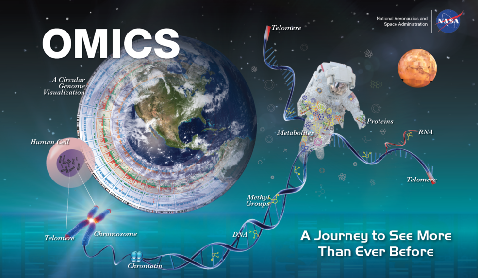Omics Comes Alive! Video Series and Poster - NASA