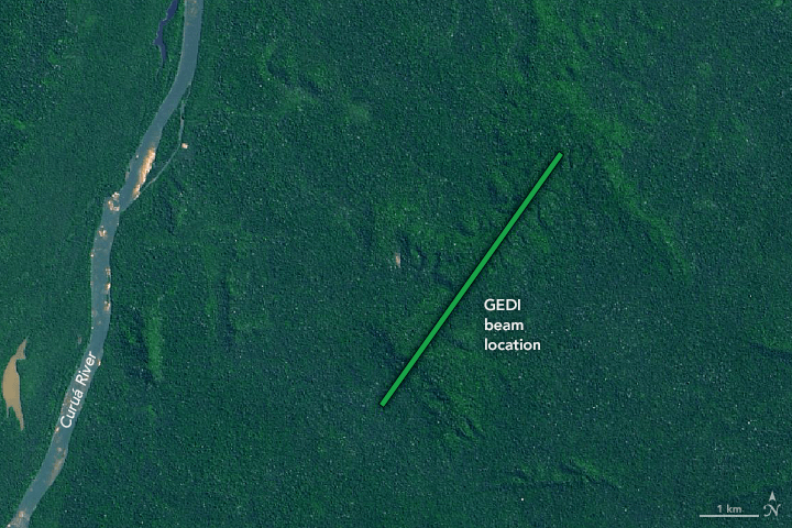 NASA Forest Structure Mission Releases First Data - NASA