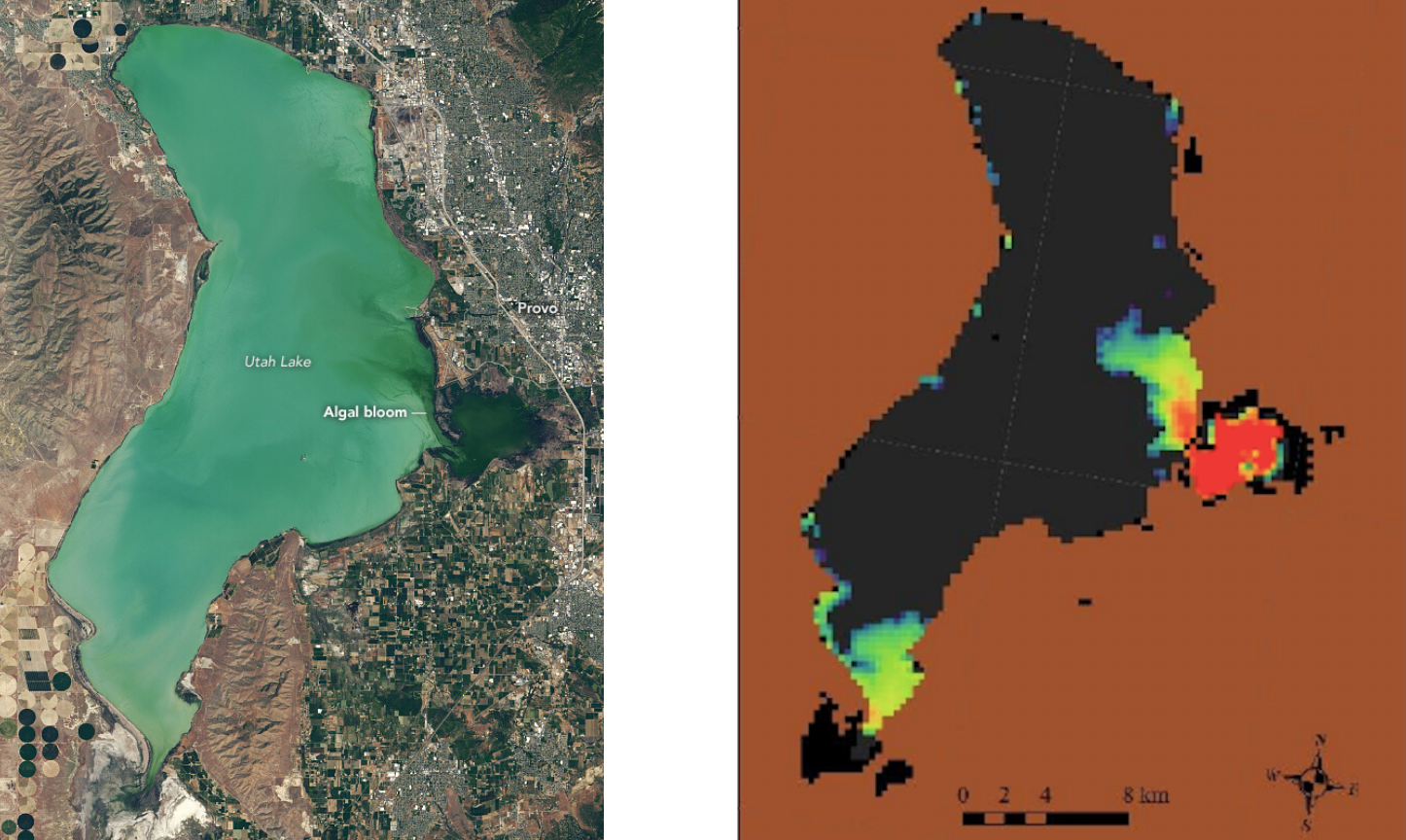 Early Detection of Algae ‘Blooms’ by Satellite Yields Healthcare ...