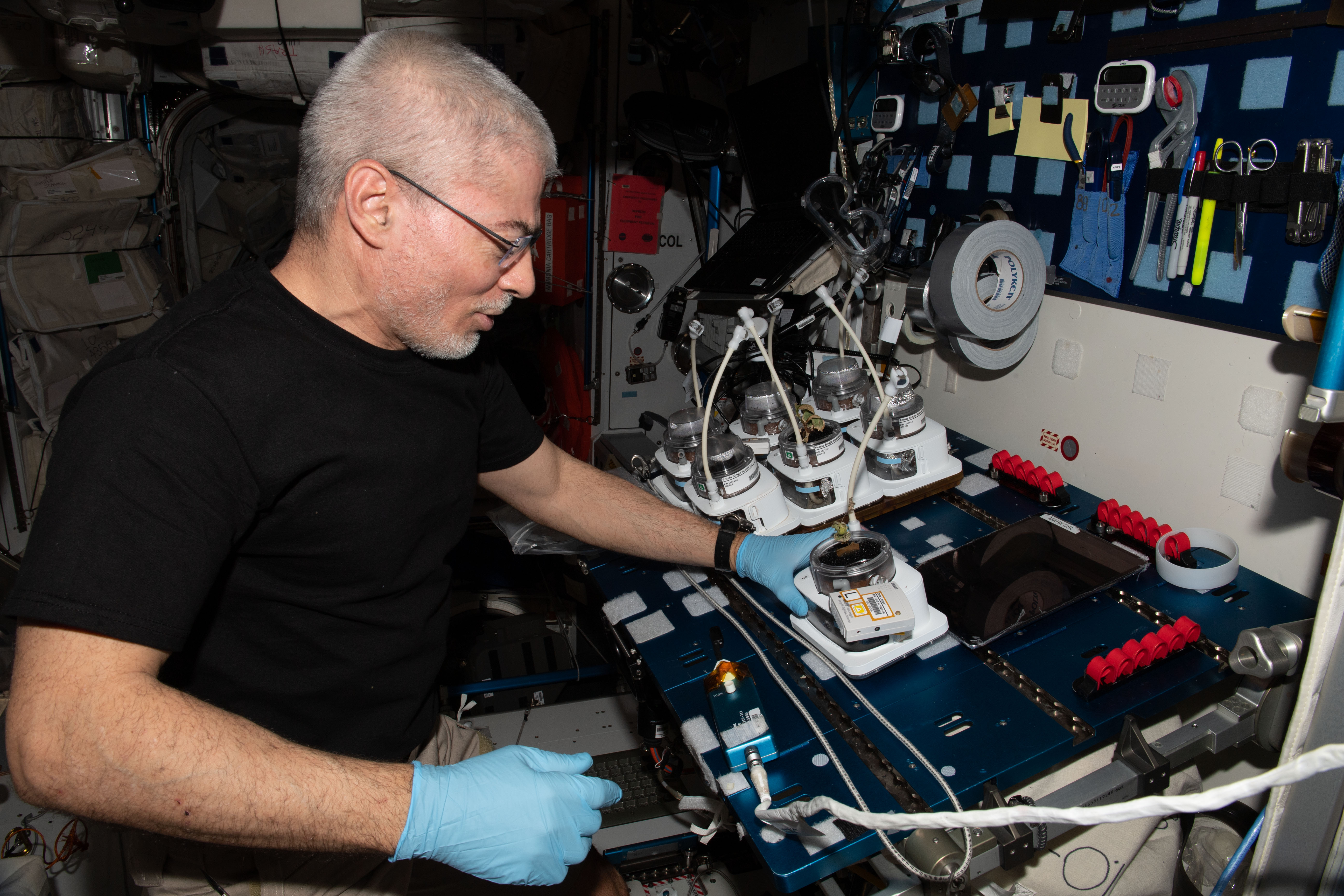 Station Science 101: Growing Plants in Space - Austin County News Online