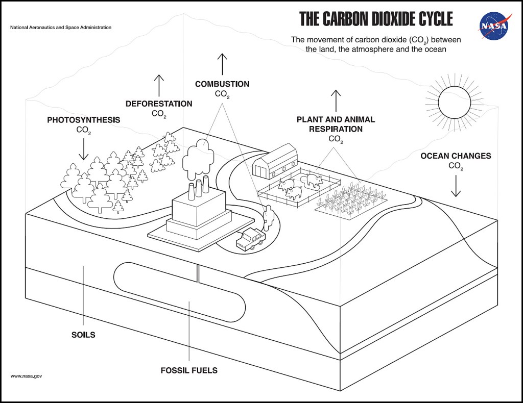 carbon coloring page