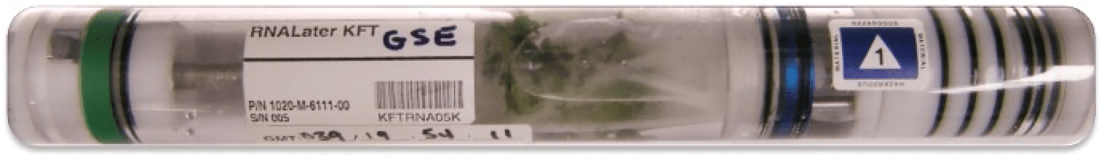 NASA-Supported Plant Experiment Flies to Suborbital Space with Virgin ...