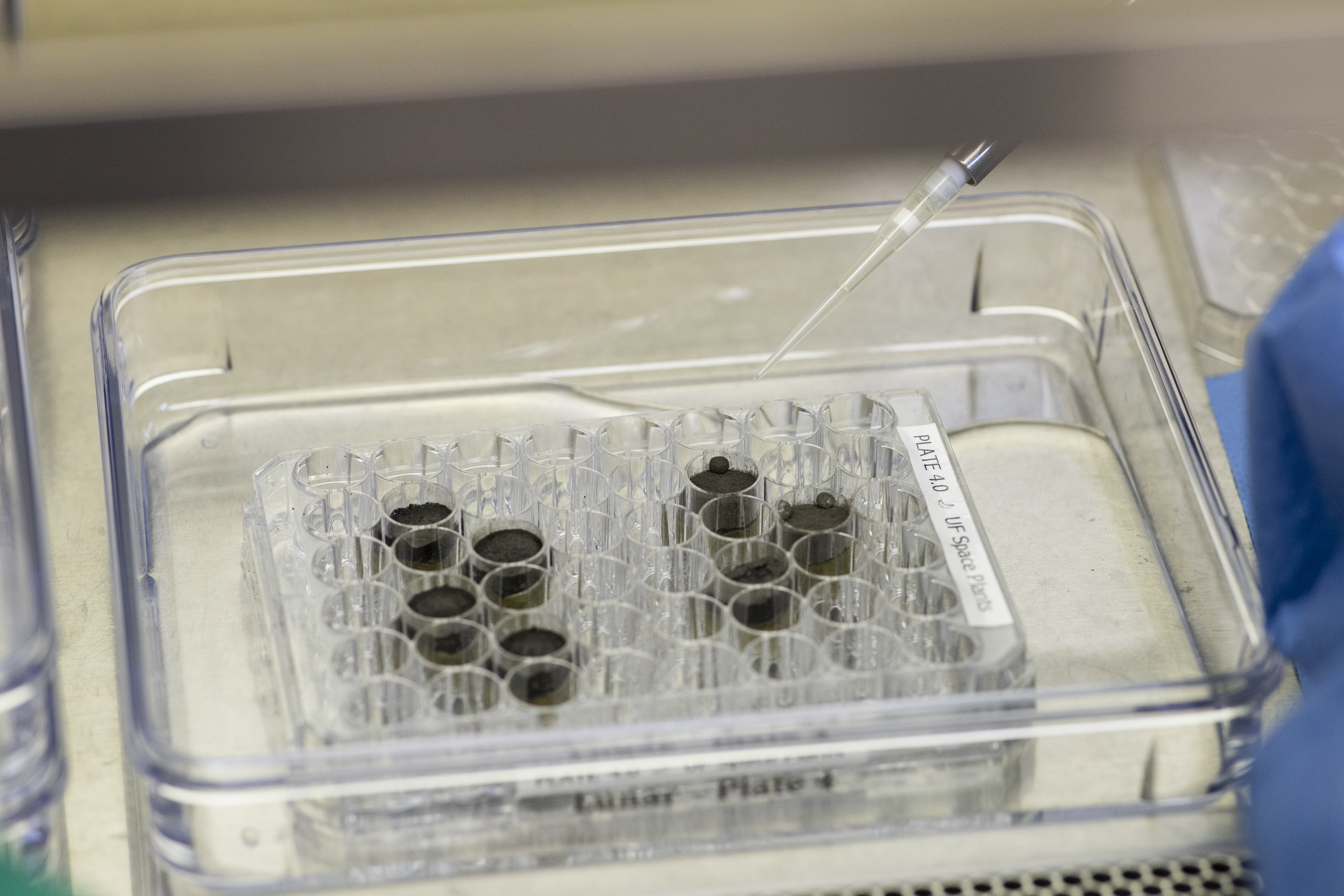 Scientists Grow Plants in Lunar Soil - NASA