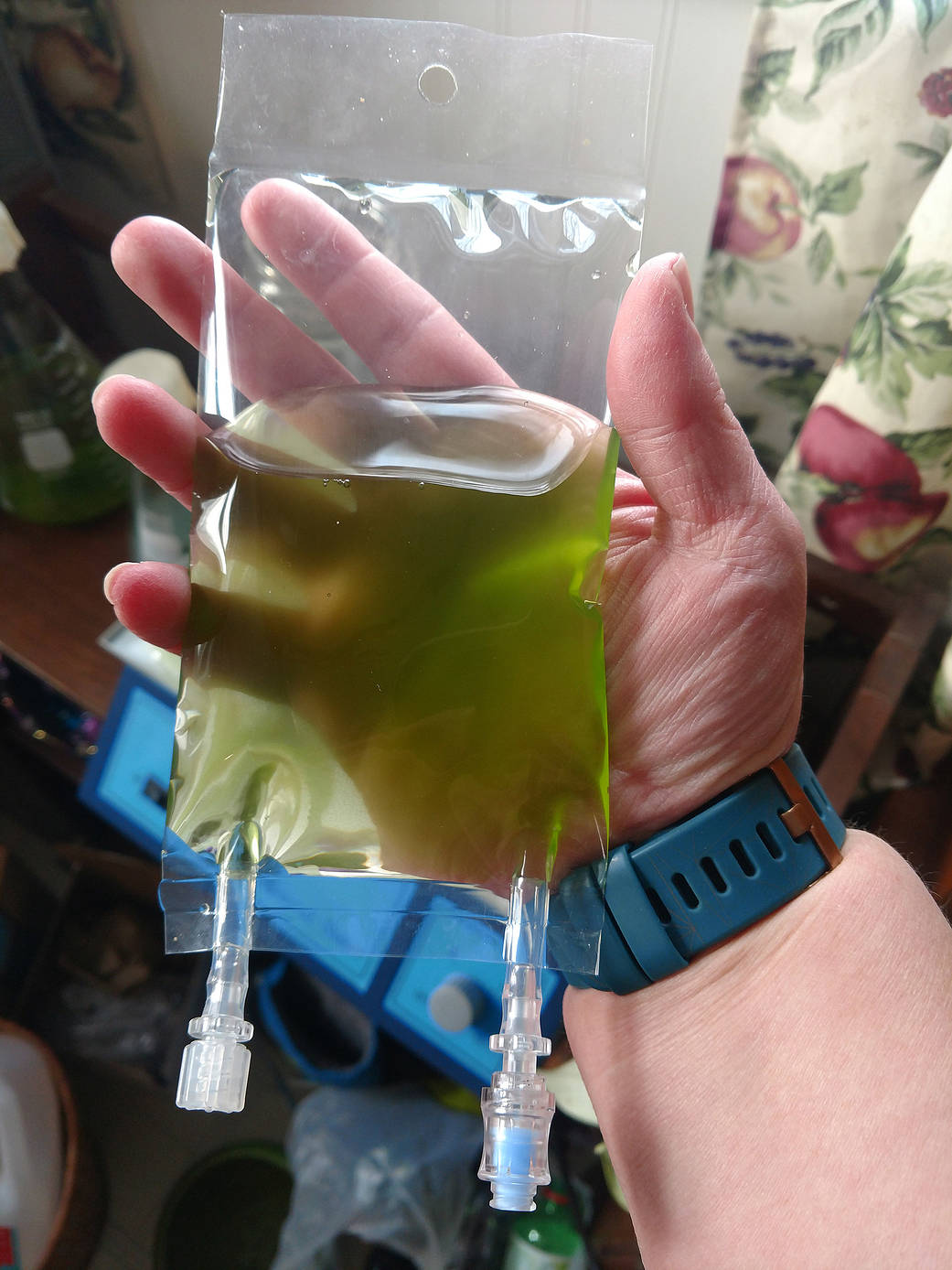 Algae Space Bag 1 - NASA