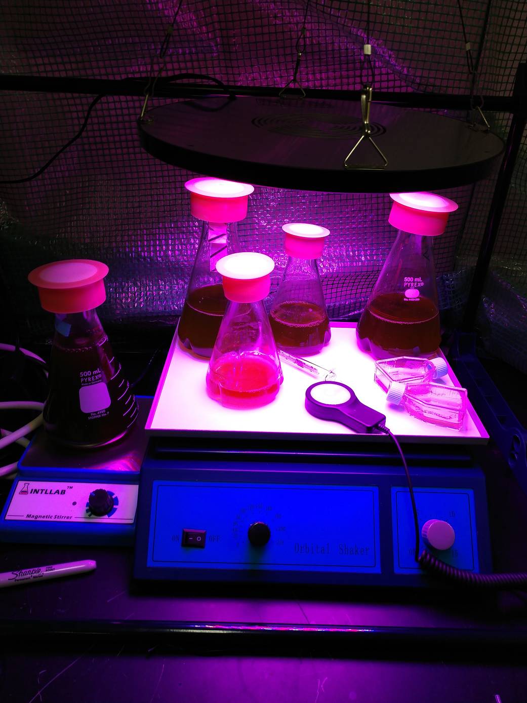 Growing Algae in Growth Chamber - NASA