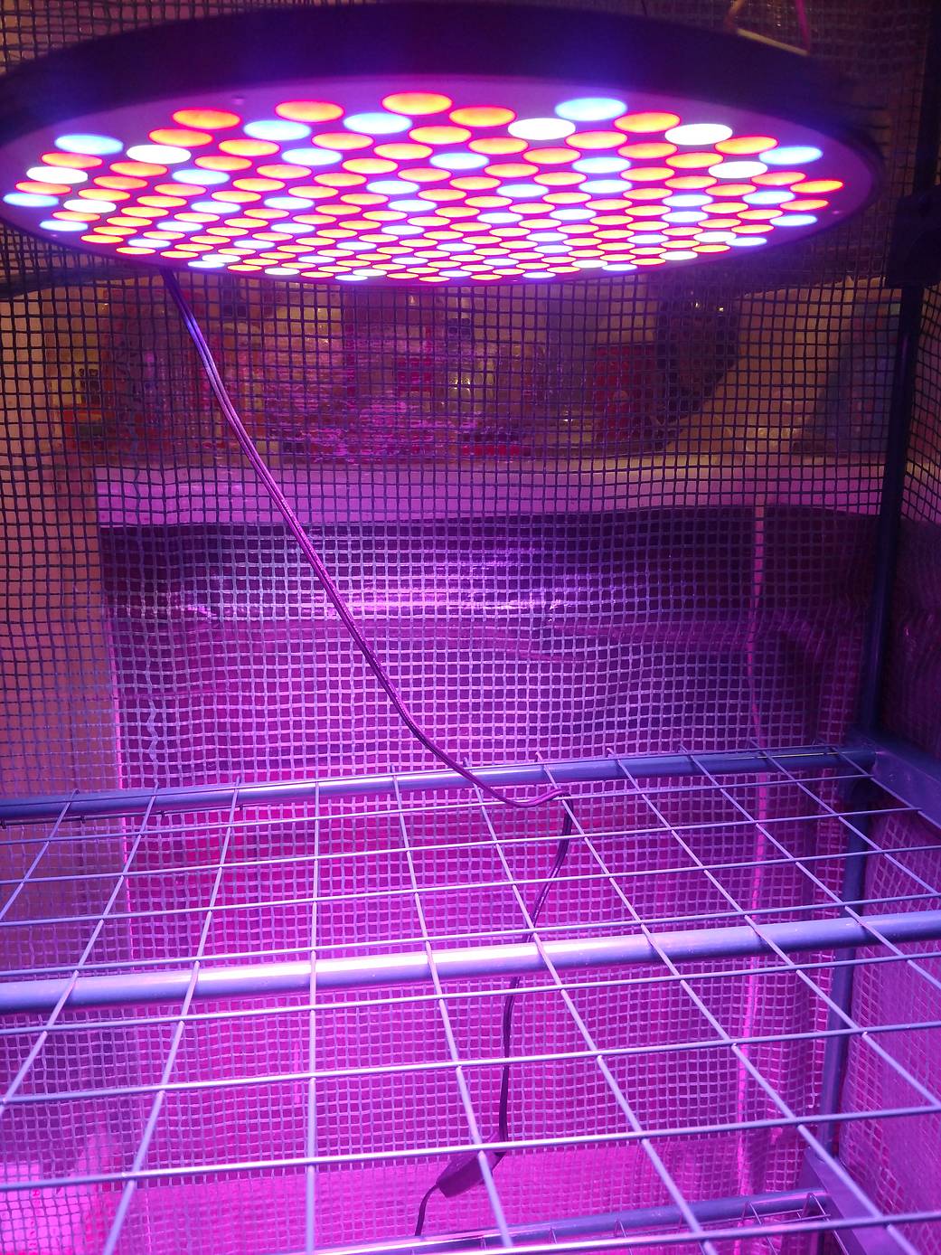 Growth Chamber LED Light - NASA