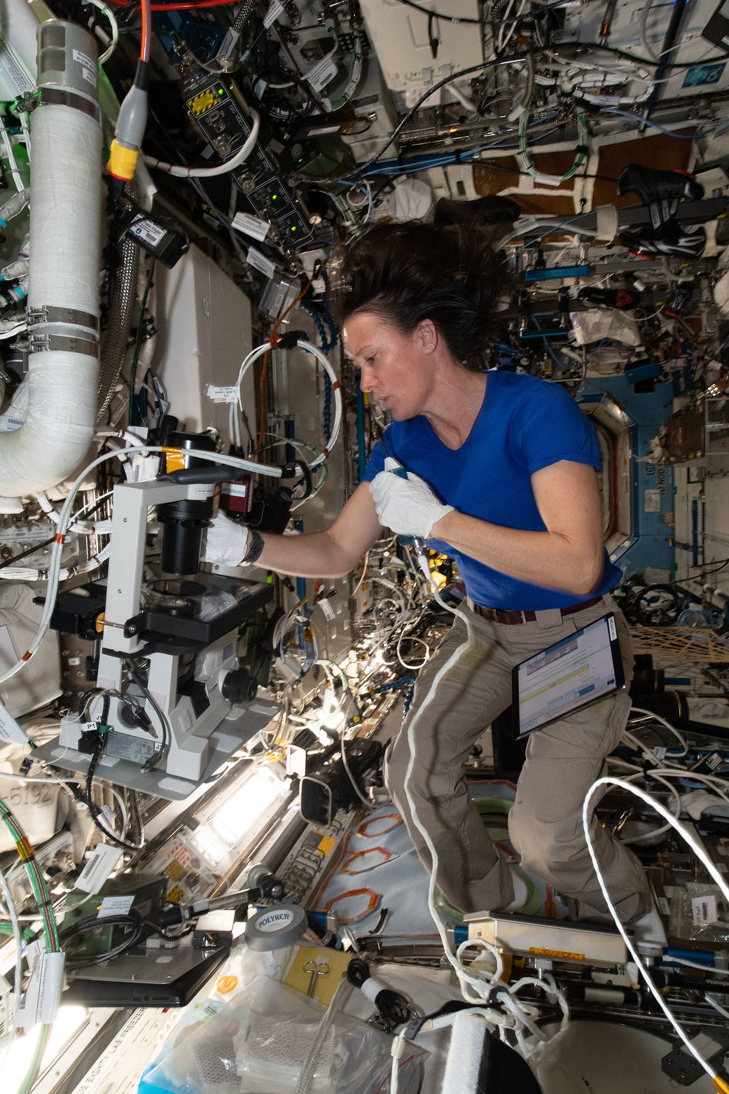 NASA astronaut Megan McArthur sets up a microscope - NASA