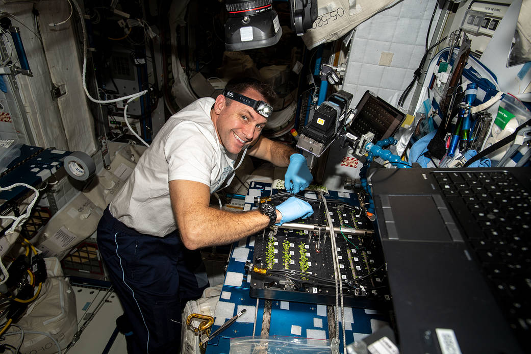 Astronaut Josh Cassada works on a space botany experiment - NASA