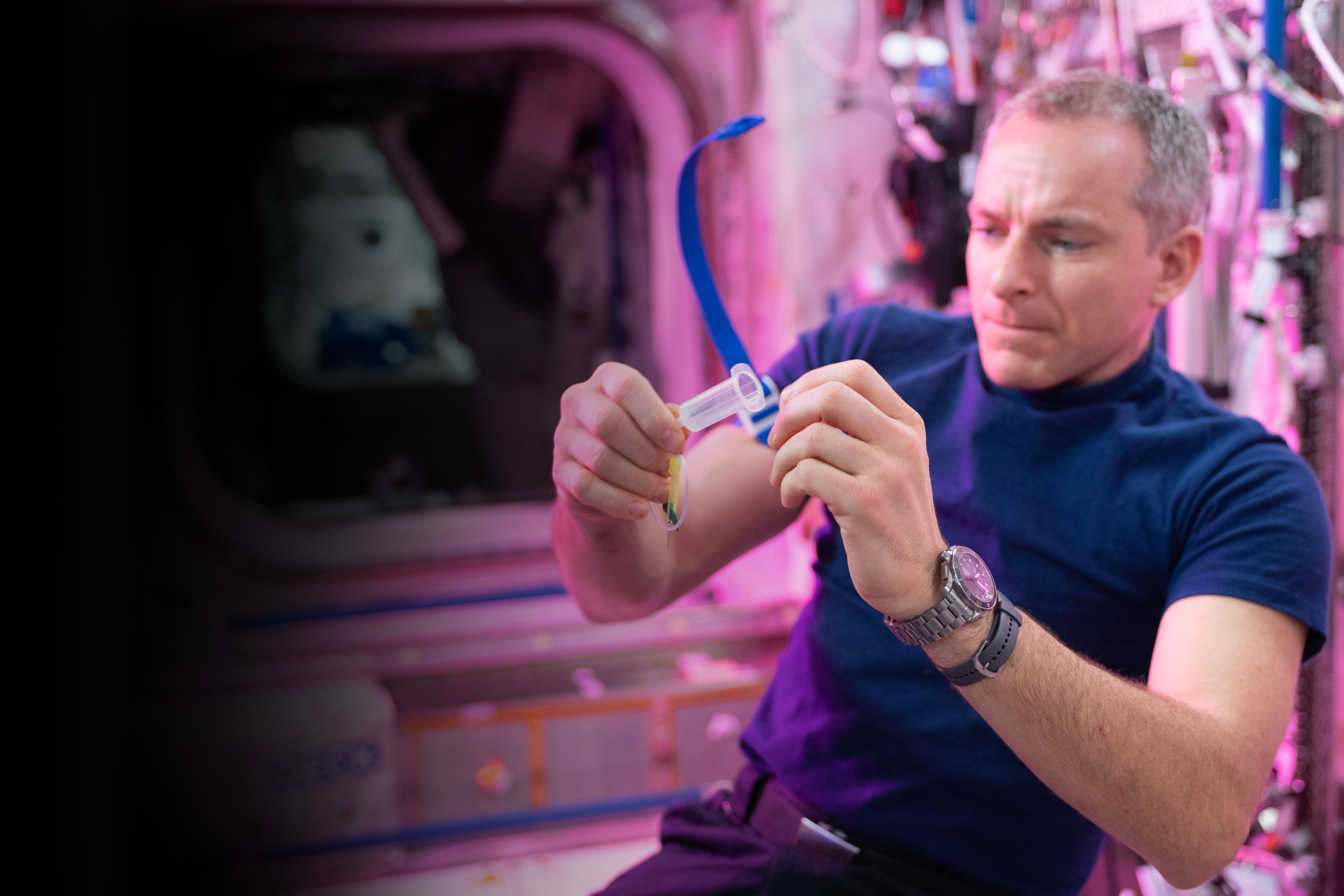 Human Space Travel Research - NASA