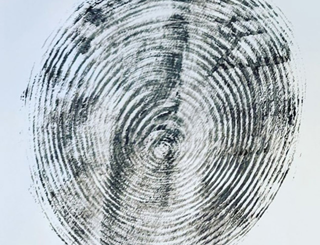 Joint Polar Satellite System STEM Activity: Printing Tree Rings - NASA