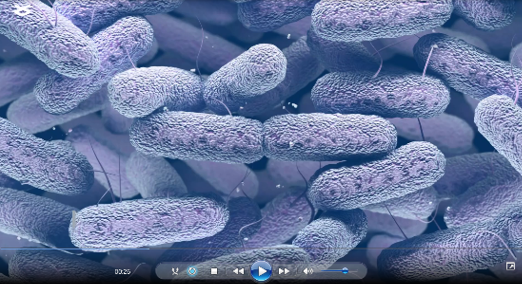 Multi-Drug Resistant Bacteria Found on ISS Mutating to Become ...