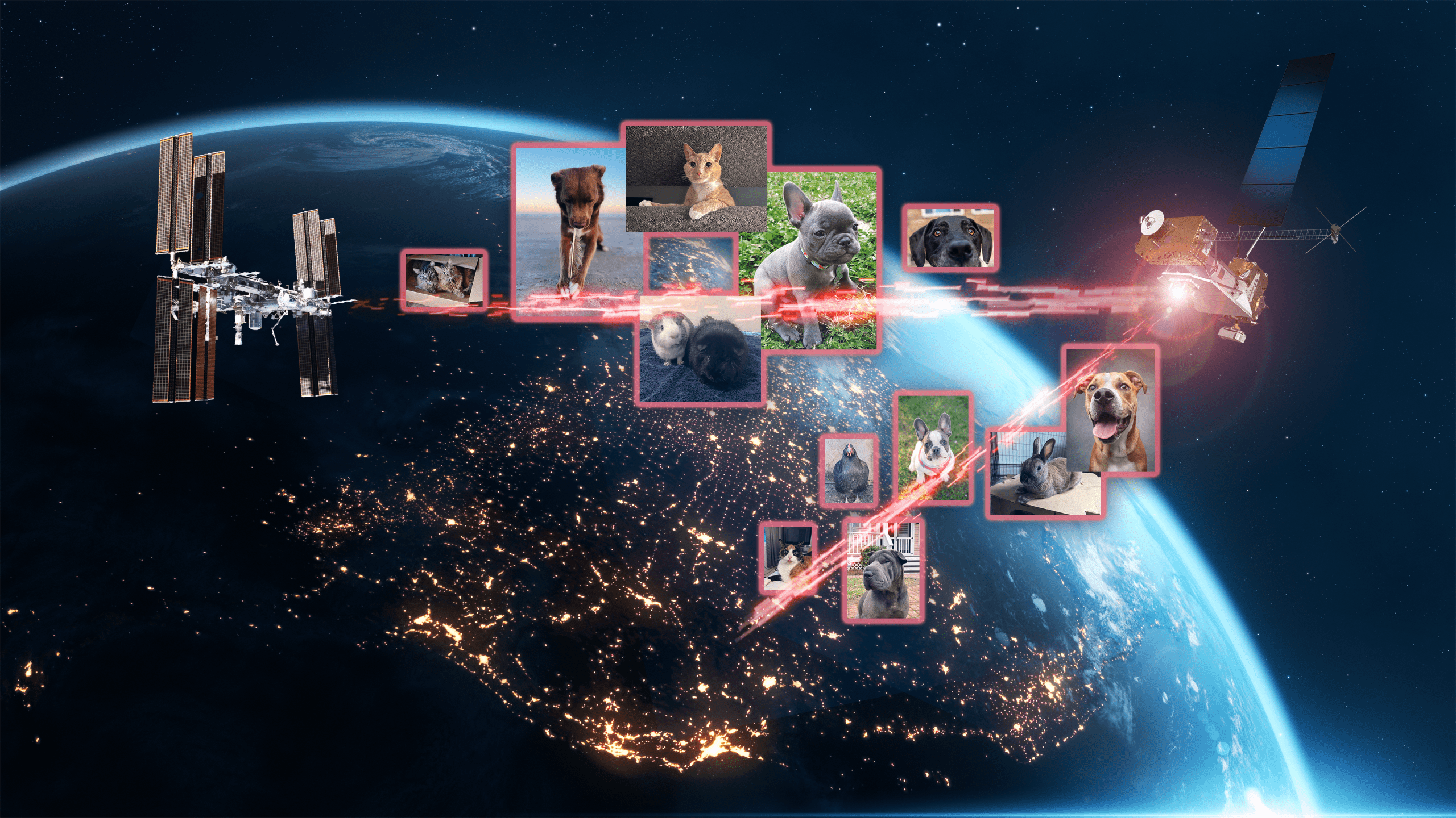 Rodent Research Stories - NASA Science