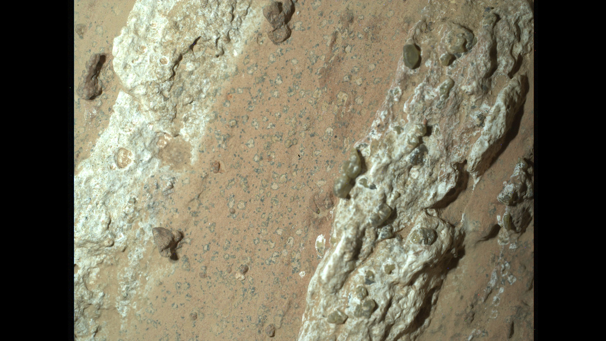 NASA’s Perseverance Rover Scientists Find Intriguing Mars Rock - NASA