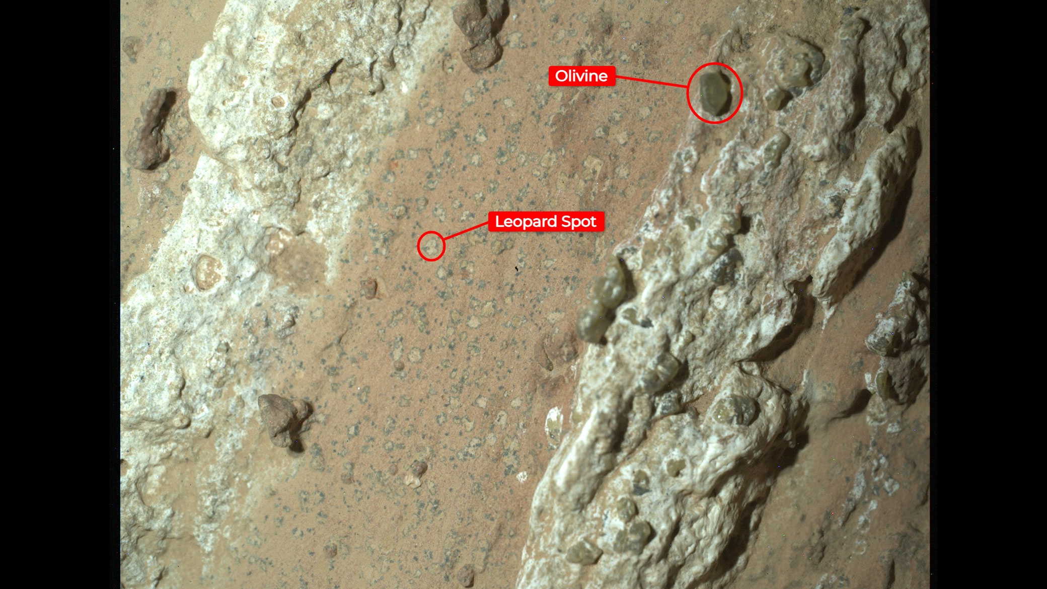 NASA’s Perseverance Rover Scientists Find Intriguing Mars Rock - NASA