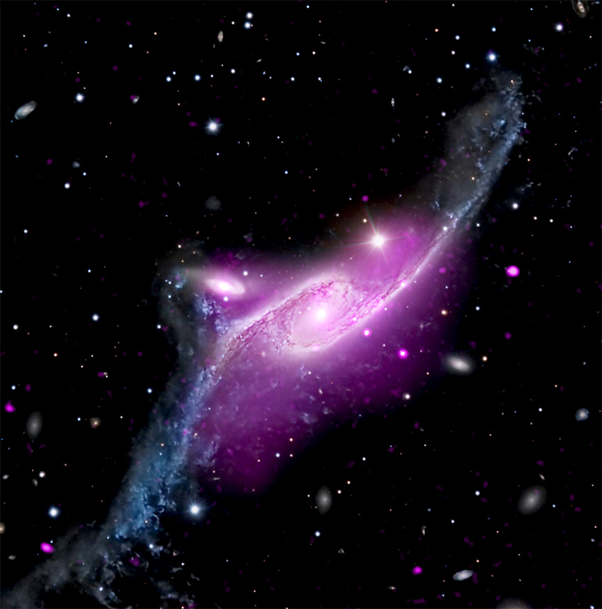 Chandra Sees the Peacock’s Galaxy - NASA