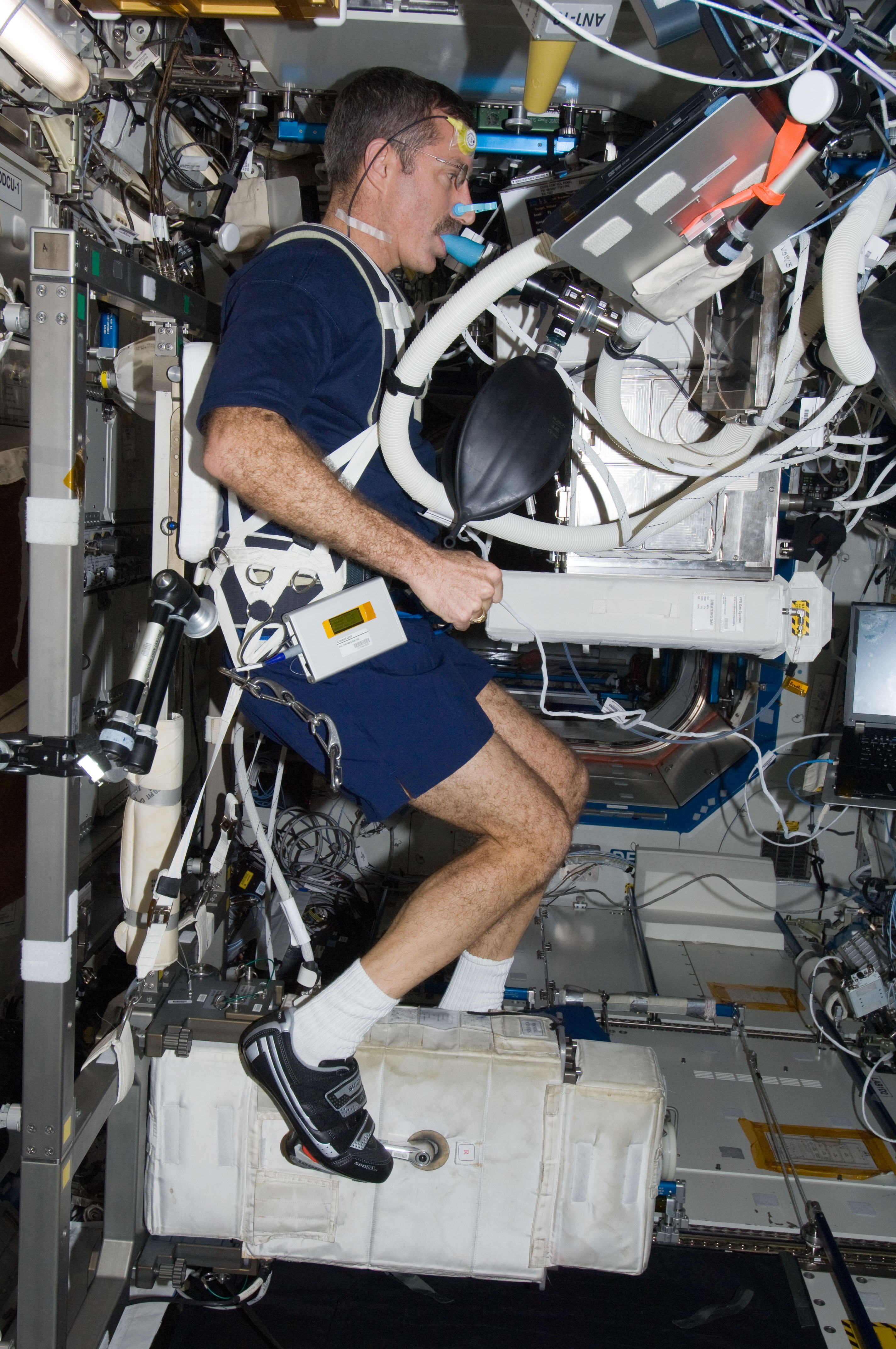 Celebrating NASA’s Coast Guard Astronauts on Coast Guard Day - ScienceX ...