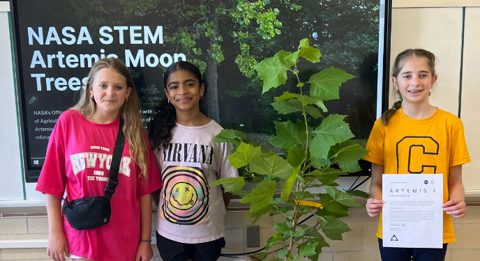 NASA STEM Artemis Moon Trees - NASA