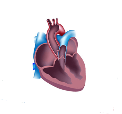Small Spacecraft Technology