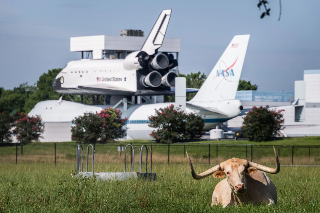 Where the Wild Things Are: Wildlife Management with Johnson’s Matt ...