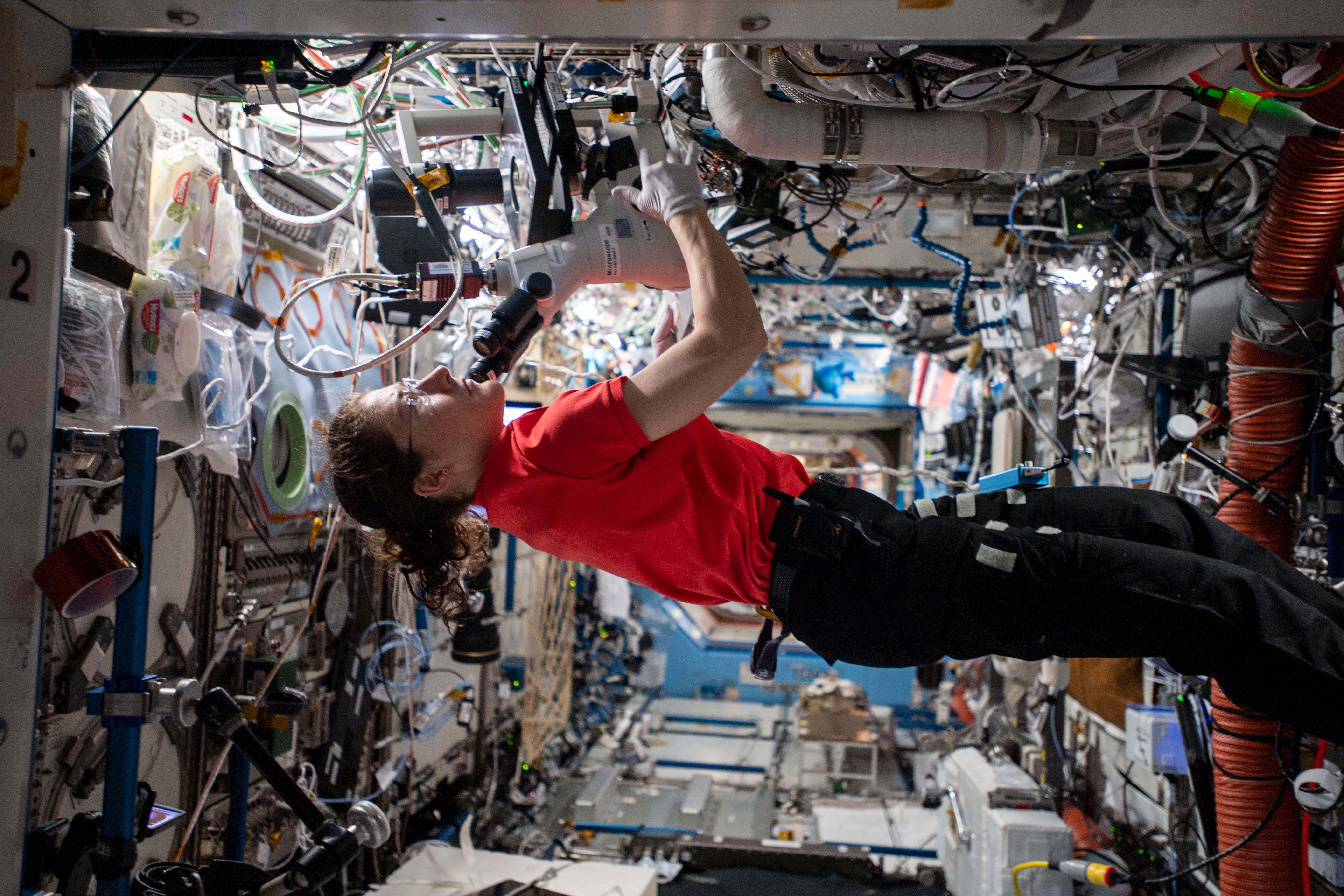 NASA Engineering and Safety Center - NASA