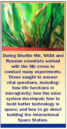 Shuttle-Mir Science