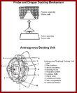 Mir Space Station Diagrams