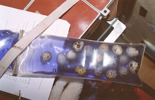 NASA-1 Photo Gallery